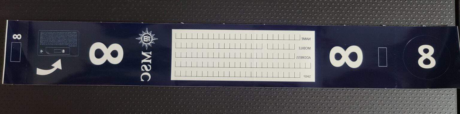 Ultimate Cruise Disembarkation Guide: What You Need to Know - Shore to ...