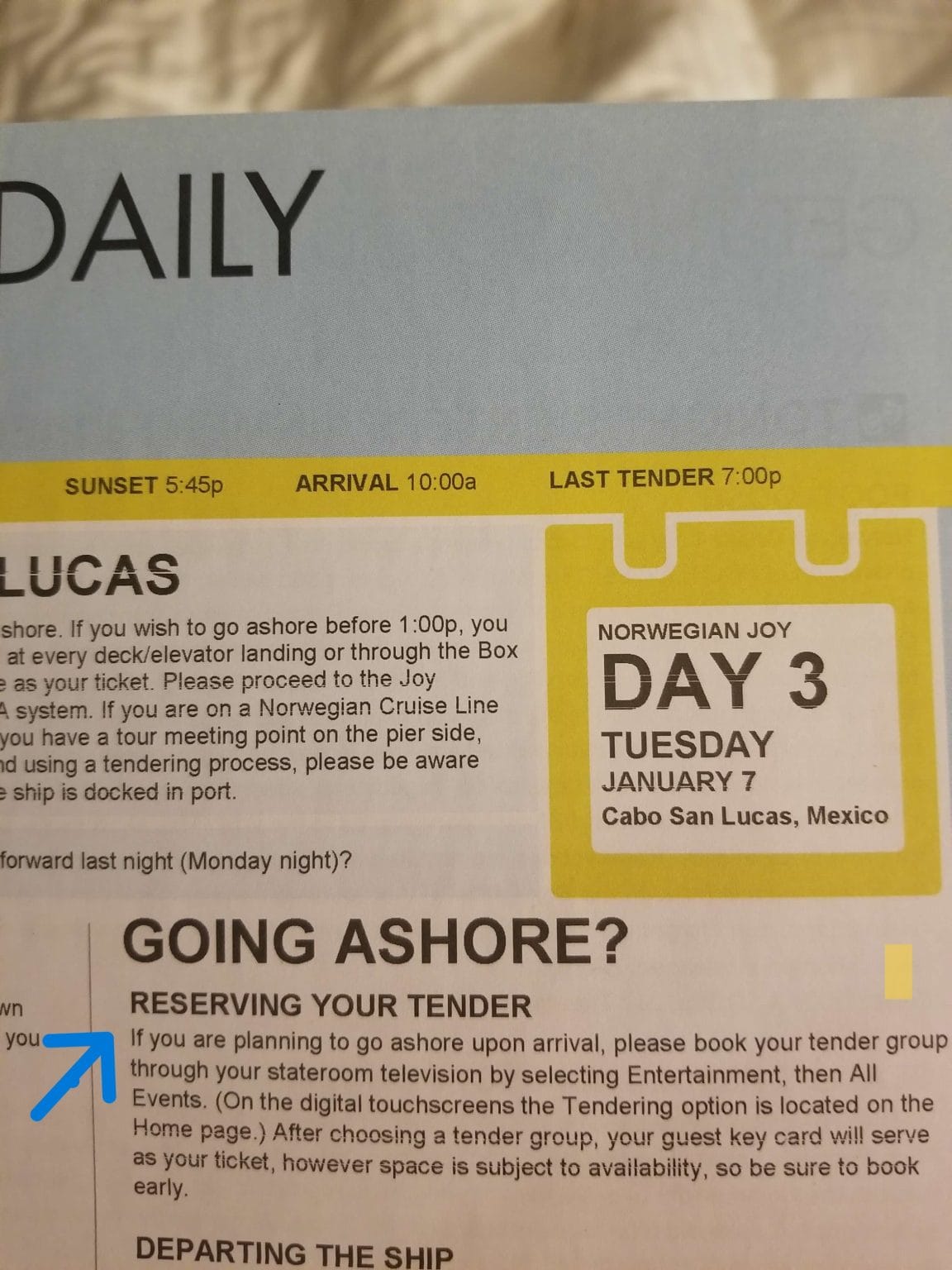 Ultimate Shore Excursion Guide: Your Questions Answered - Shore to Cruise