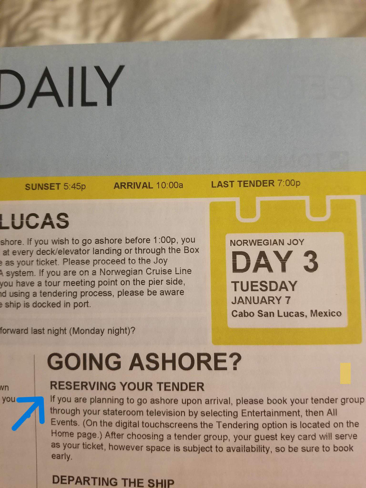 Ultimate Shore Excursion Guide: Your Questions Answered - Shore to Cruise