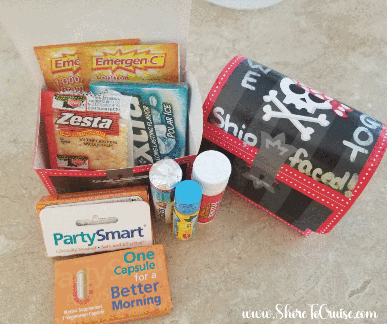 Cruise First Aid Kit Checklist (Free Printable Oh Ship Kit)